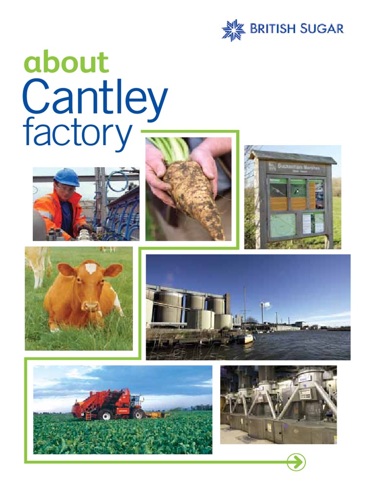 About Cantley Factory 0212 | PDF | Sugar Beet | Sugar