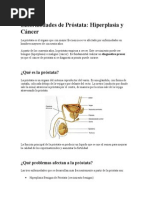 Triptico Cancer de Prostata | PDF | Cancer de prostata | Cáncer