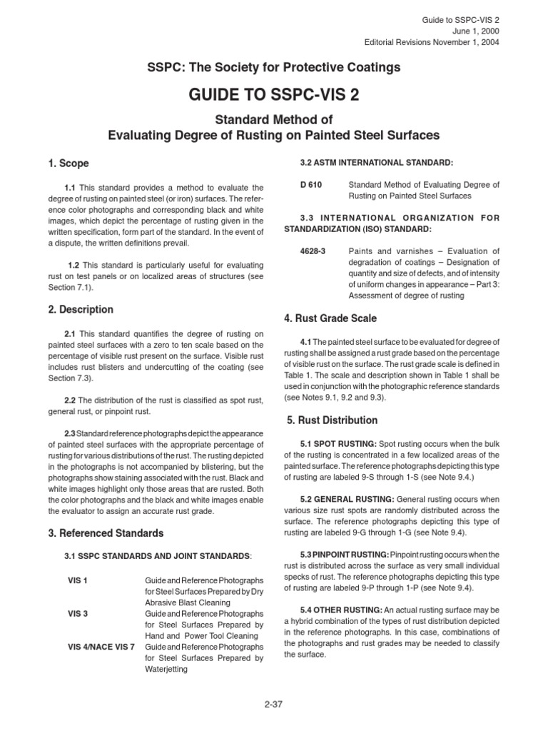 Guide To Sspc-Vis 2 | PDF | Rust | Logarithm