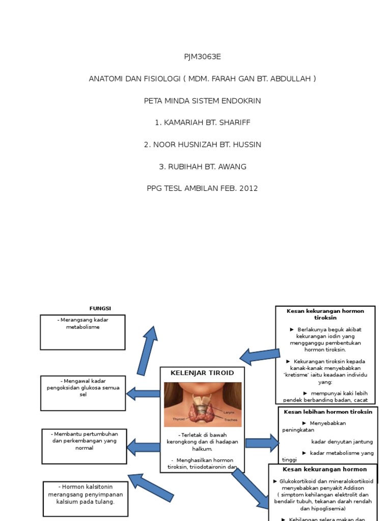 Sistem Endokrin Thinking Map | PDF