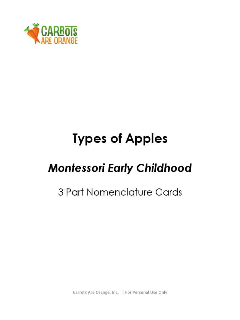Types of Apples: Montessori Early Childhood | PDF
