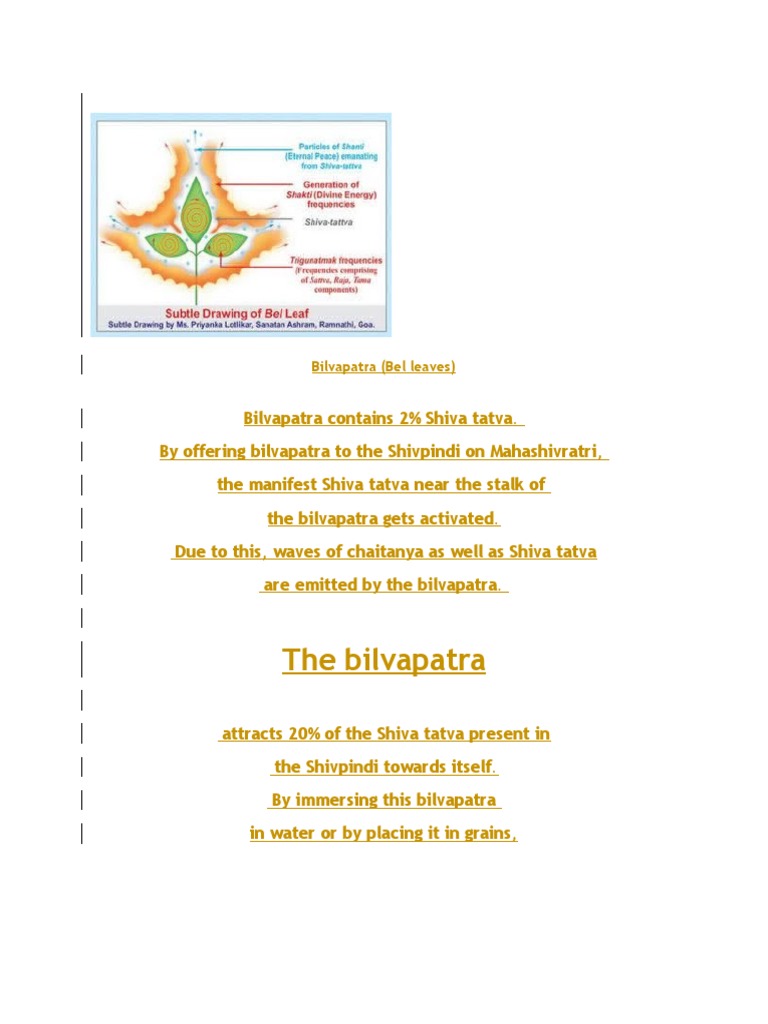 Bilva Patra | PDF | Indian Religions | Hindu Behaviour And Experience