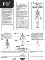 Rehabilitation Protocol For Ankle Fracture With Orif | PDF | Surgery ...