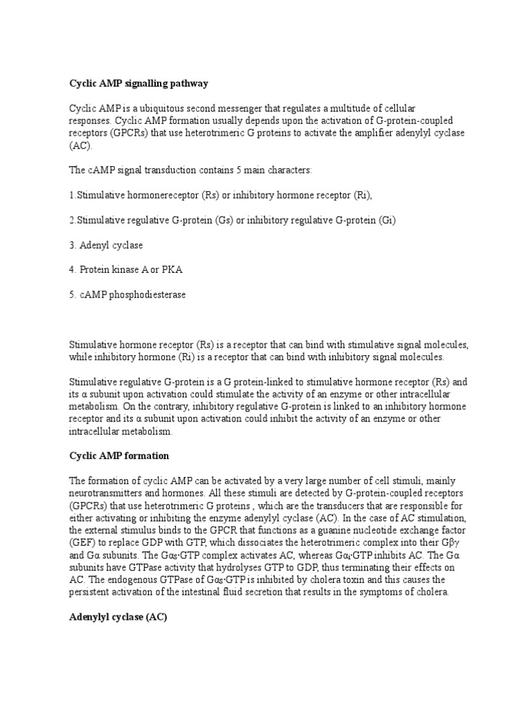Cyclic AMP Signalling Pathway | PDF | G Protein–Coupled Receptor ...