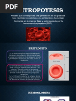 Gradiente Definicion y Gradiente Quimico | PDF | Degradado | Concentración