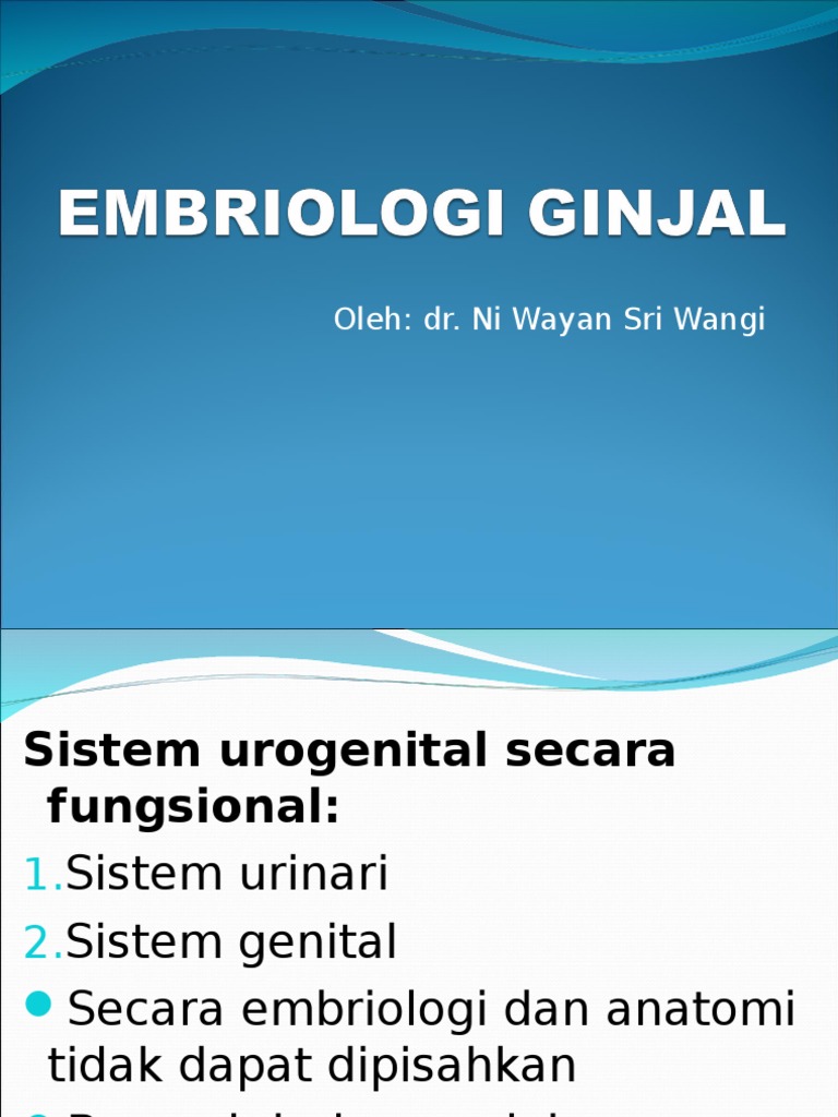 Embriologi Ginjal dan Perkembangannya | PDF