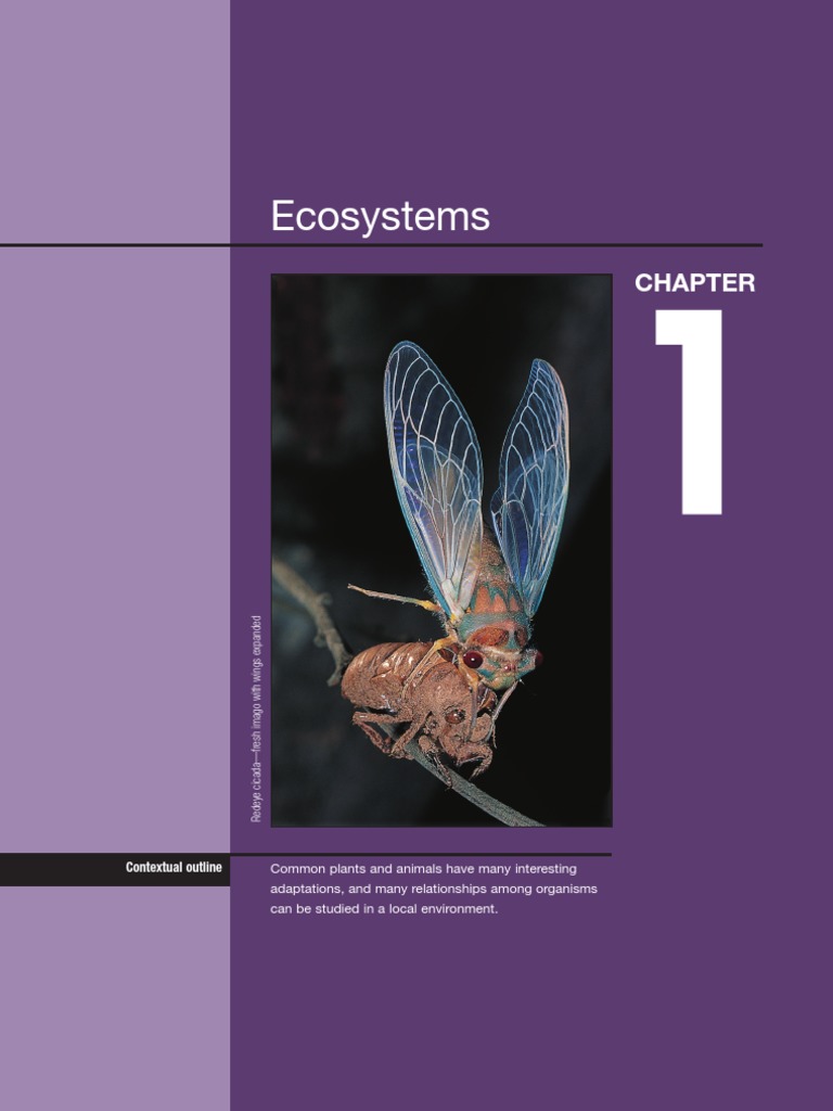 Biology Context | PDF | Ecology | Spider