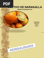 30 Vegetales Con Sus Cromosomas | PDF