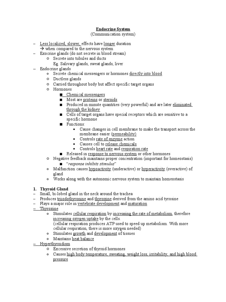 Endocrine System Notes | PDF | Adrenal Gland | Thyroid