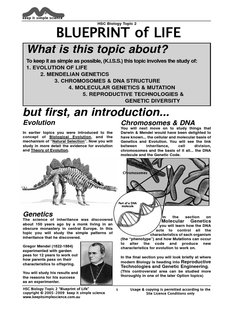 Blueprint of Life | Genetics | Zygosity