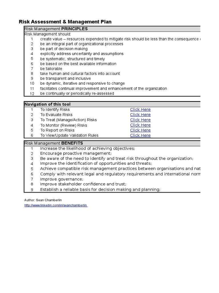 Risk Management Template | PDF | Risk Management | Risk