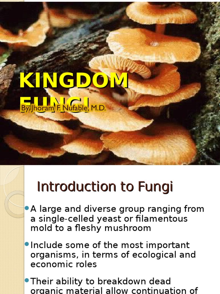 Fungi | Fungus | Microbiology