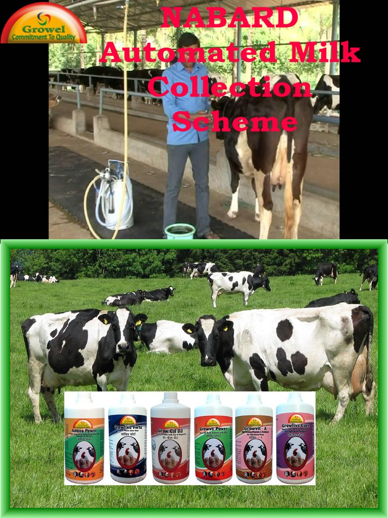 NABARD Automated Milk Collection Project PDF | PDF | Dairy | Milk