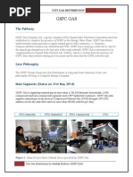 MNGL Piped Natural Gas Connection Guide | PDF