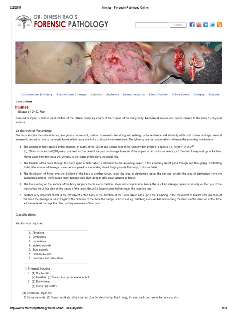 Injuries - Forensic Pathology Online | PDF | Skull | Burn