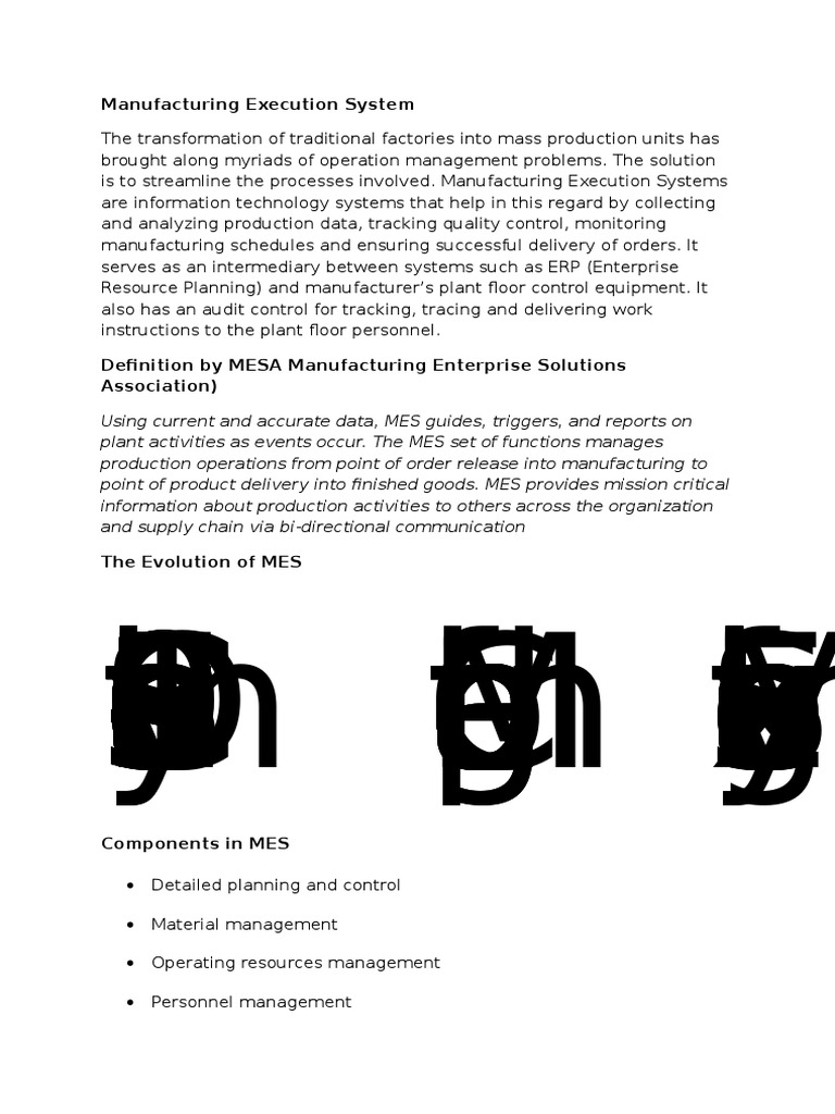 MES Prelim Report | PDF | Production And Manufacturing | Business