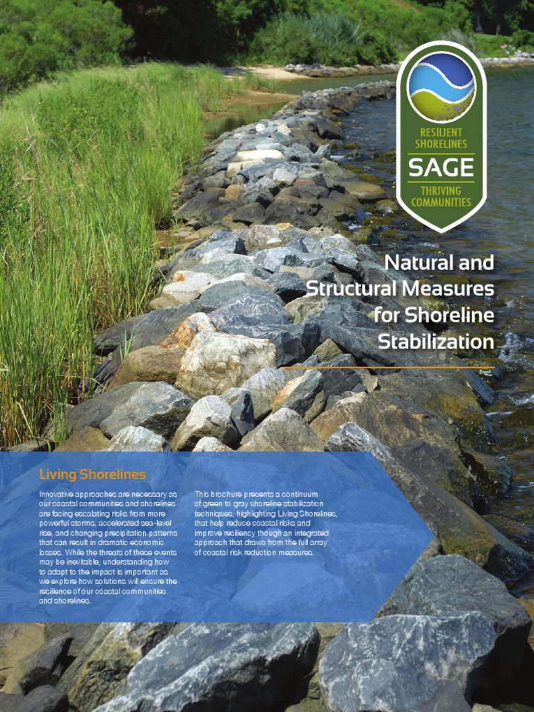 Shoreline Stabilization Techniques Guide | PDF | Beach | Tide