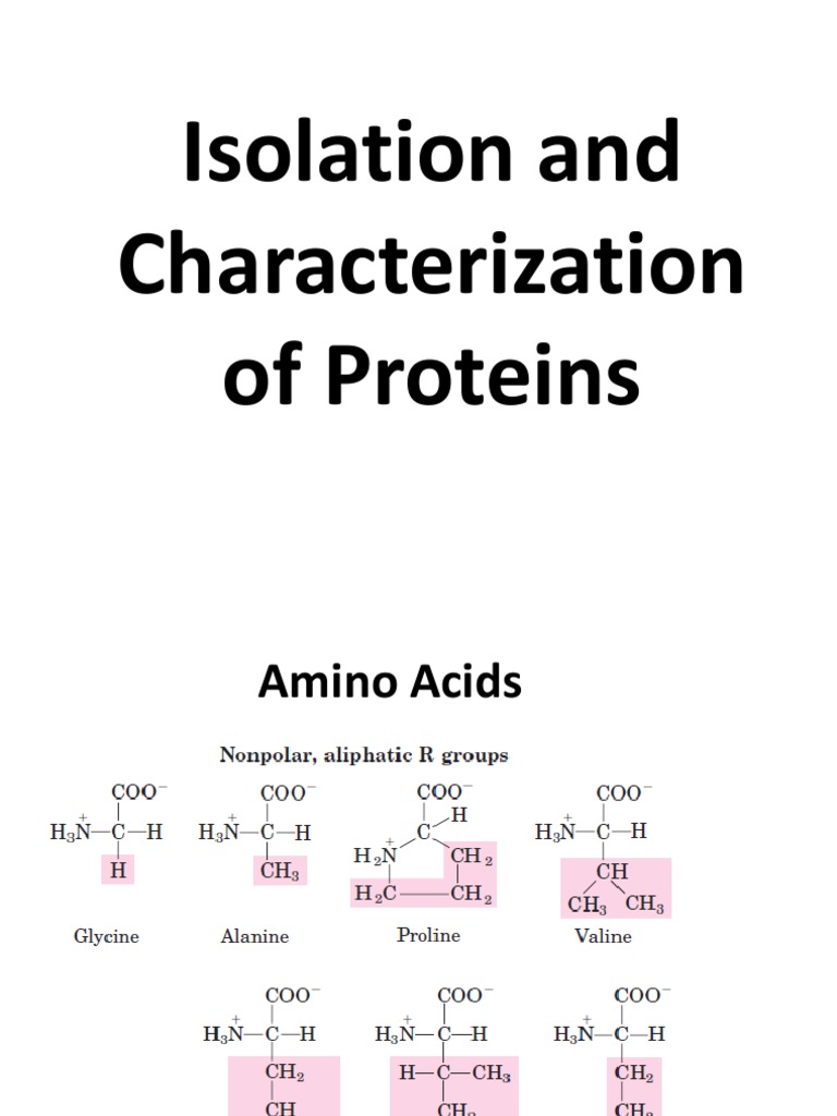 Protein Isolation and Characterization | PDF | Proteins | Denaturation ...