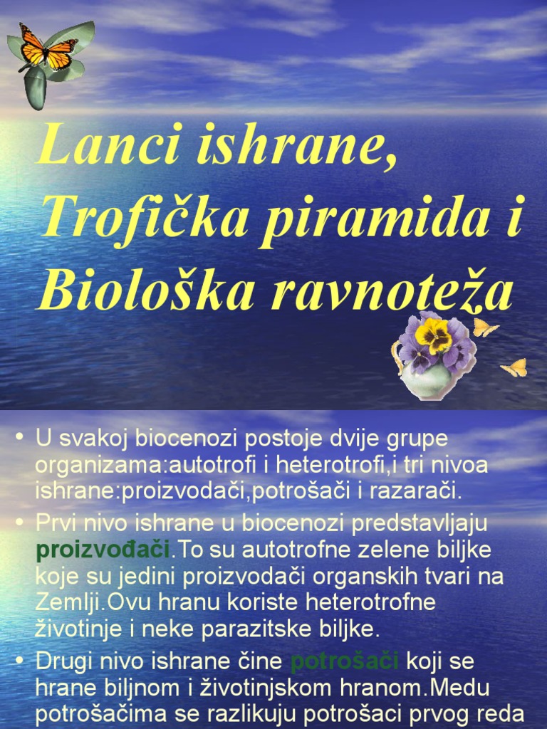Troficka Piramida | PDF