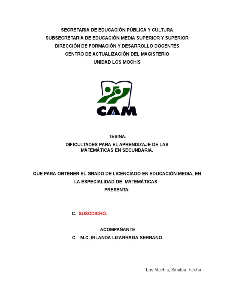 Formato de Tesina | PDF | Educación Secundaria | Programa para la ...