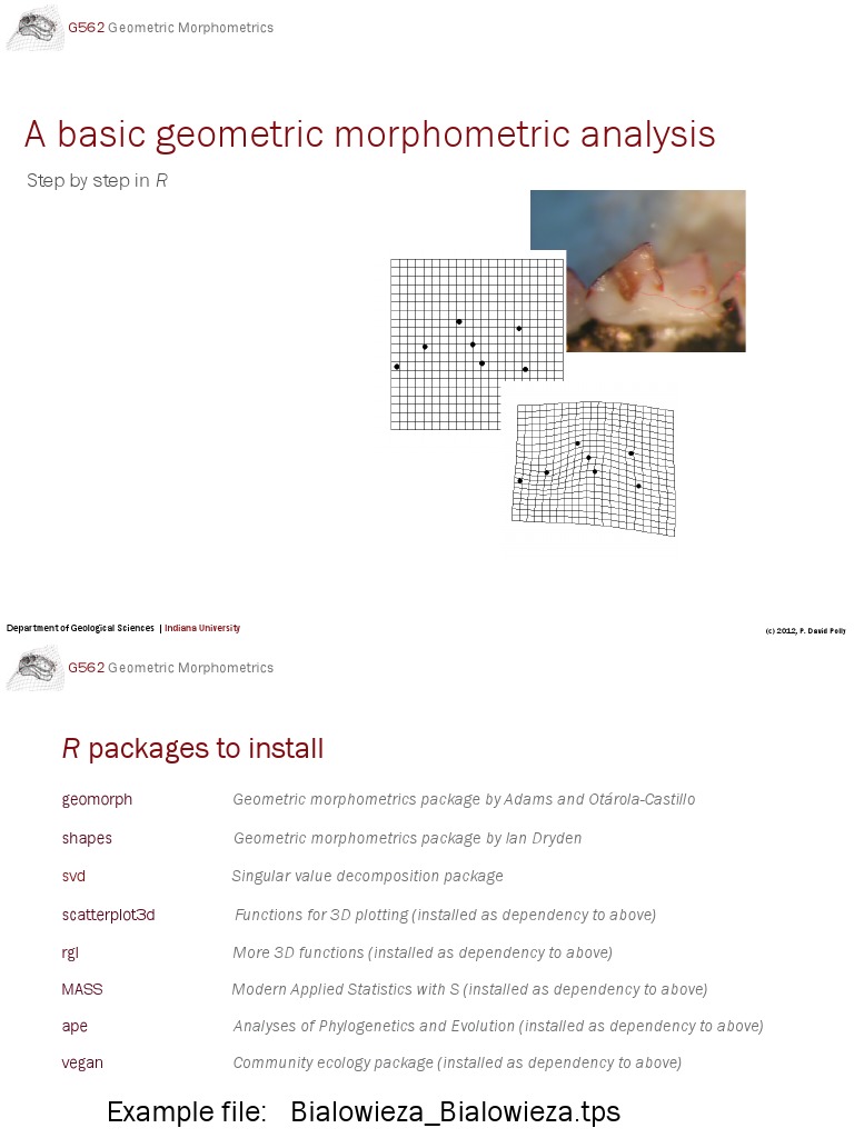 Geometric Morphometrics in R | PDF | Morphometrics | Principal ...