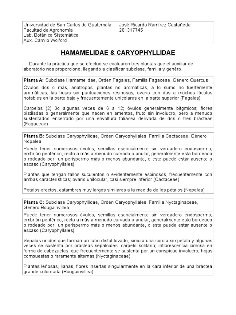 Clasificación de tres plantas pertenecientes a las subclases ...