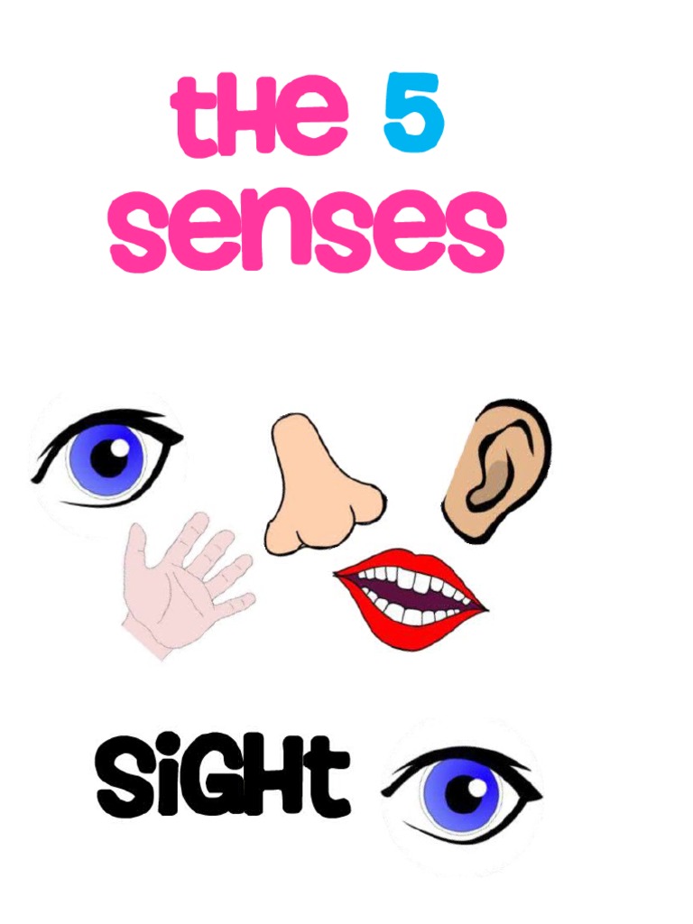 The Five Senses - Poster | PDF