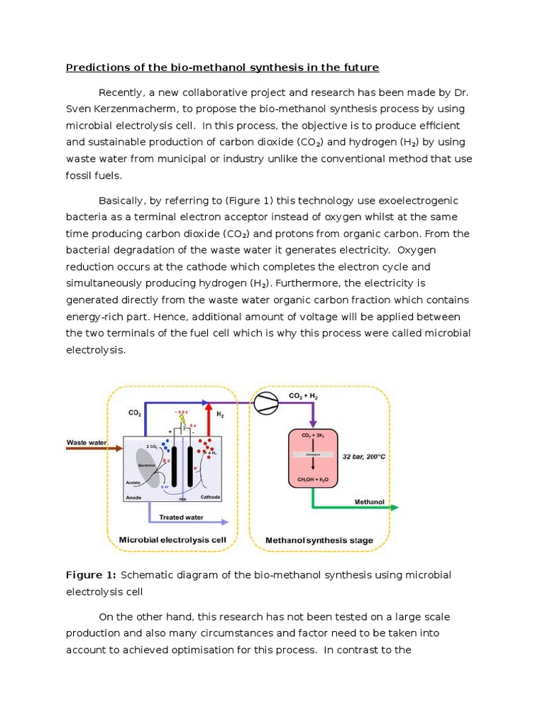 Future of Bio-Methanol Synthesis | PDF | Hydrogen | Environmental ...
