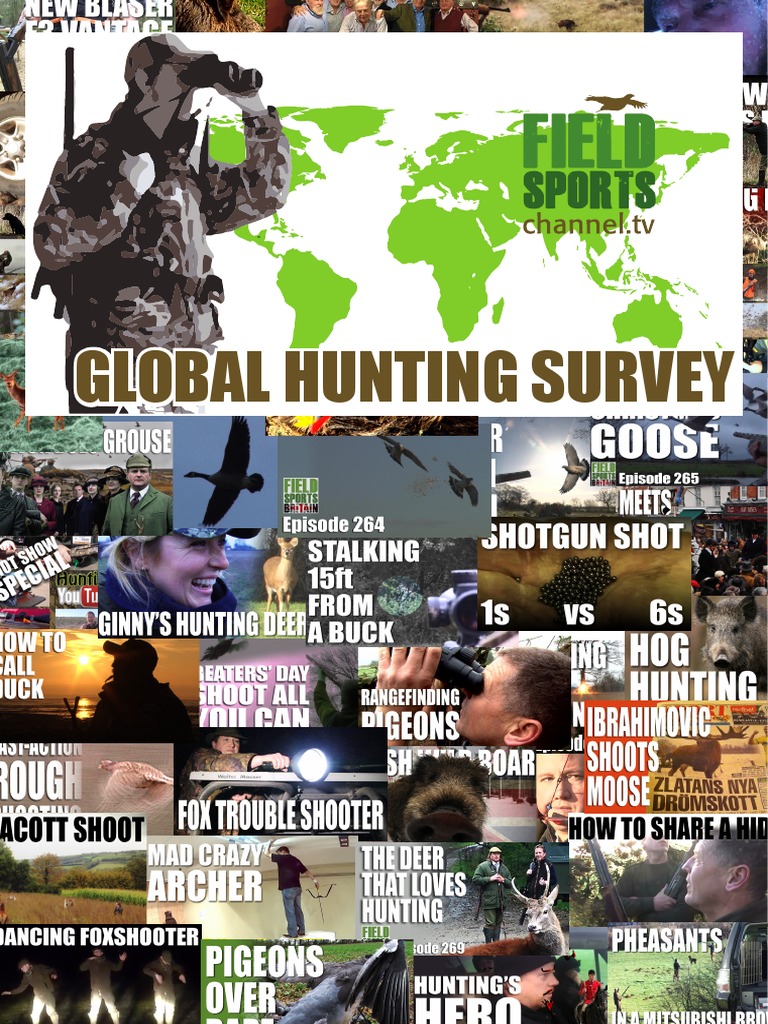 Global Hunting Survey | PDF | Bowhunting | Hunting