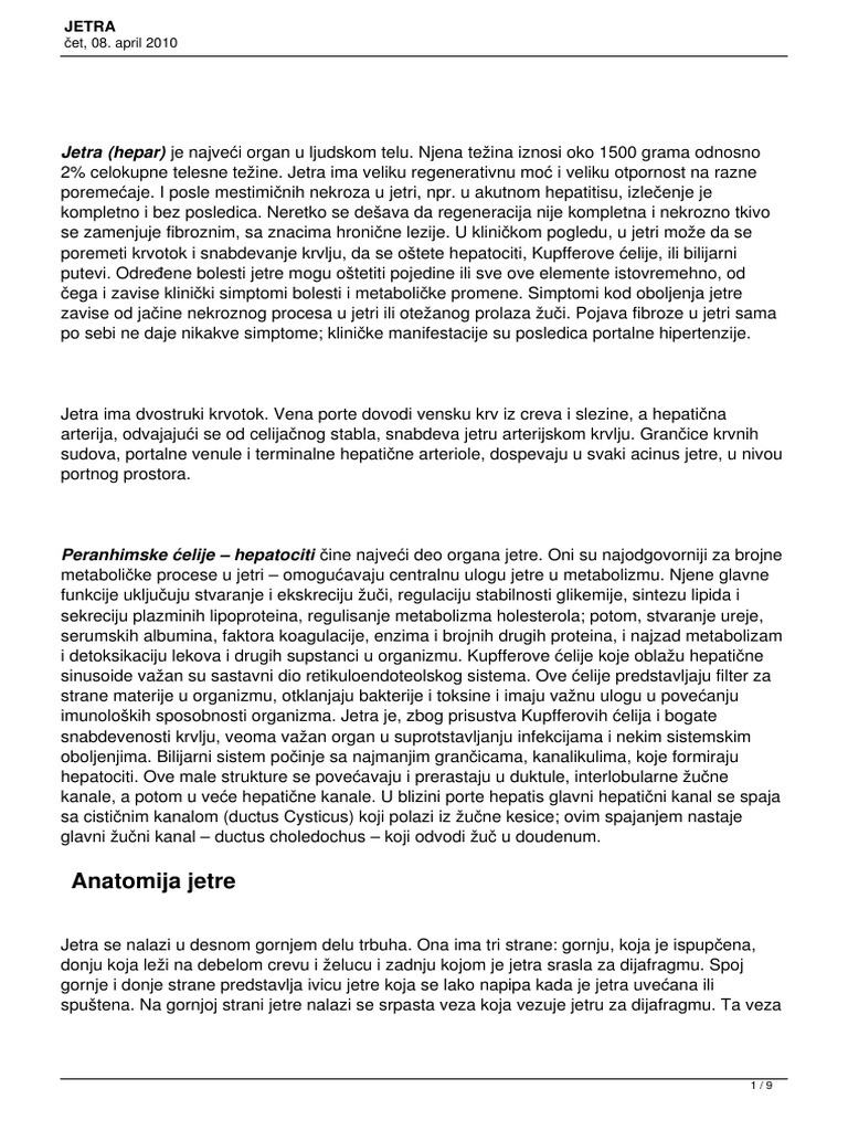 Jetra Anatomska Pozicija | PDF