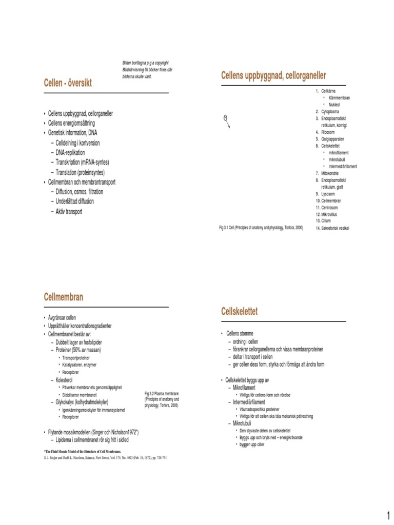 Cellen Ahorarkopior VT 2010 | PDF