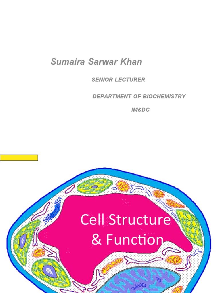 Cell Structure and Function For 1st Year MBBS Delivered by Miss Sumaira ...