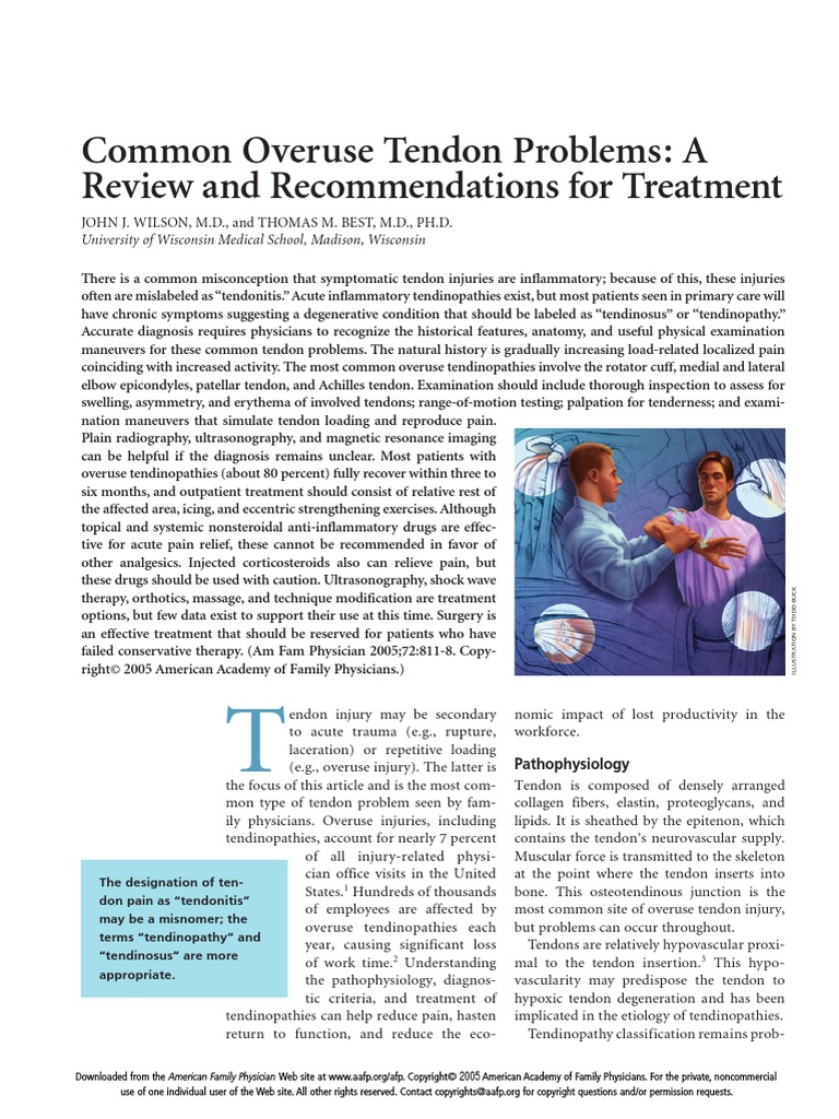 Common Overuse Tendon Problems | PDF | Tendon | Nonsteroidal Anti ...