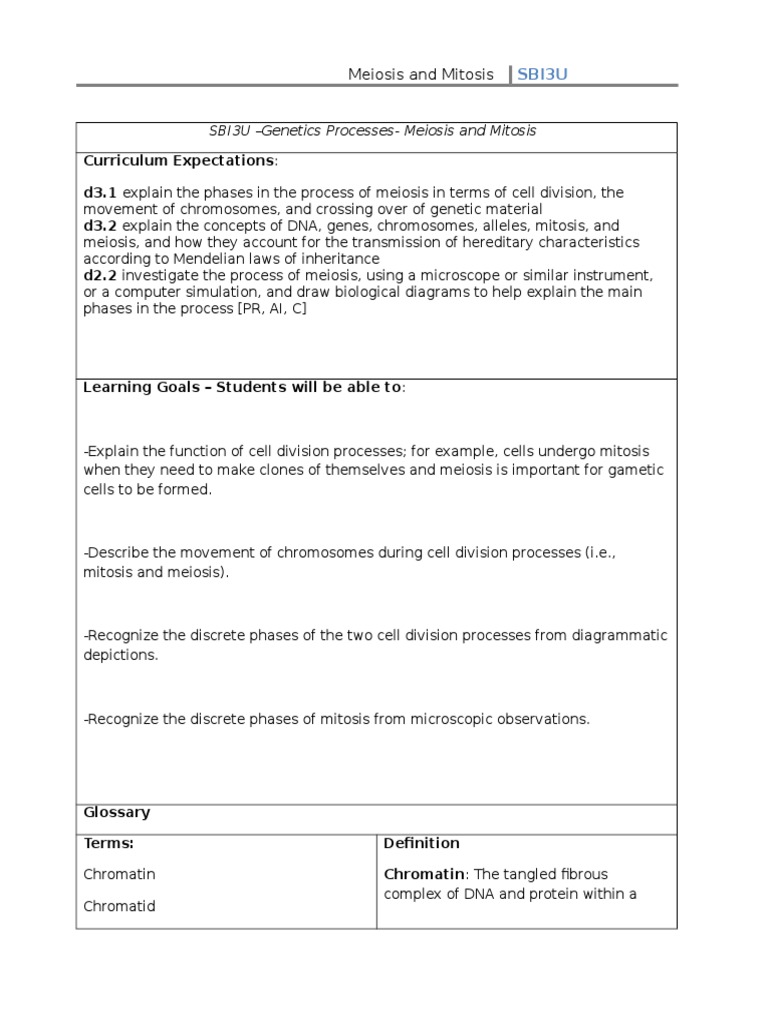 SBI3U - Genetics Processes-Meiosis and Mitosis | PDF | Meiosis | Chromosome