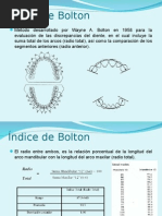 Analisis de Bolton | PDF | Ortodoncia | Odontología