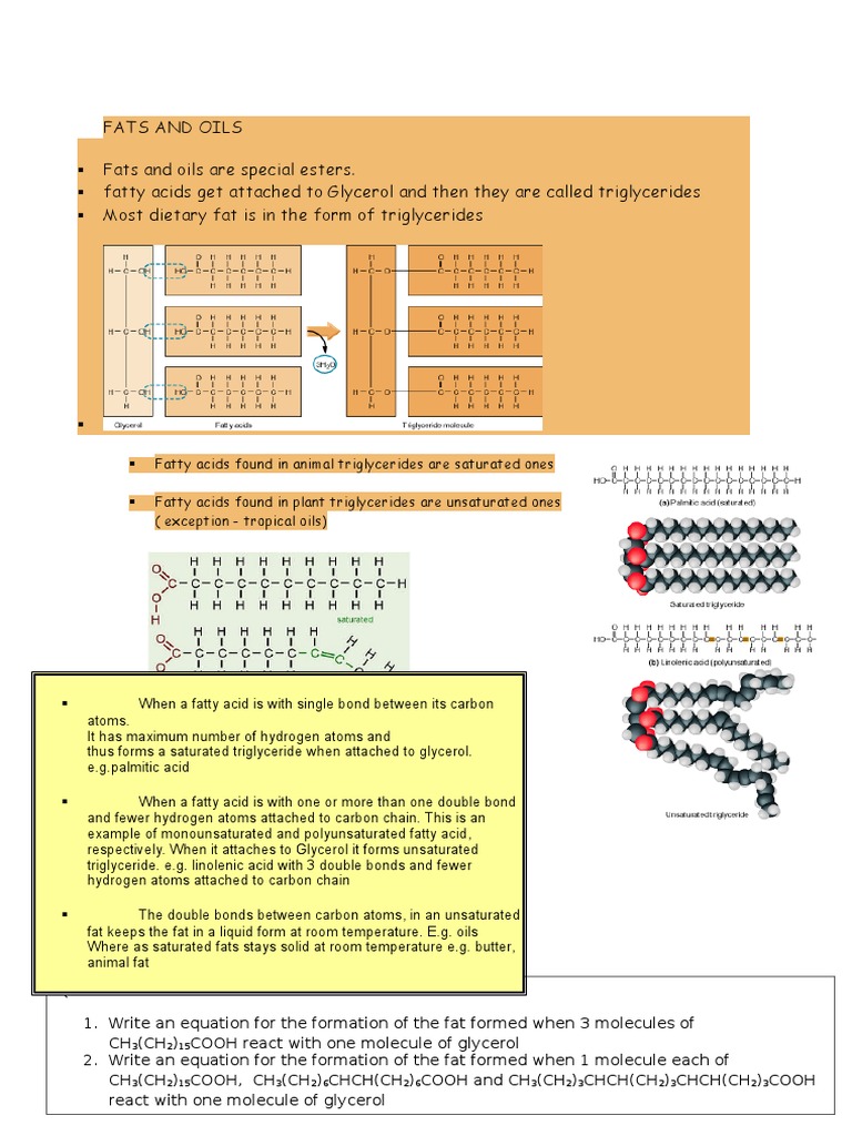 Understanding Fats and Oils: Triglycerides | PDF