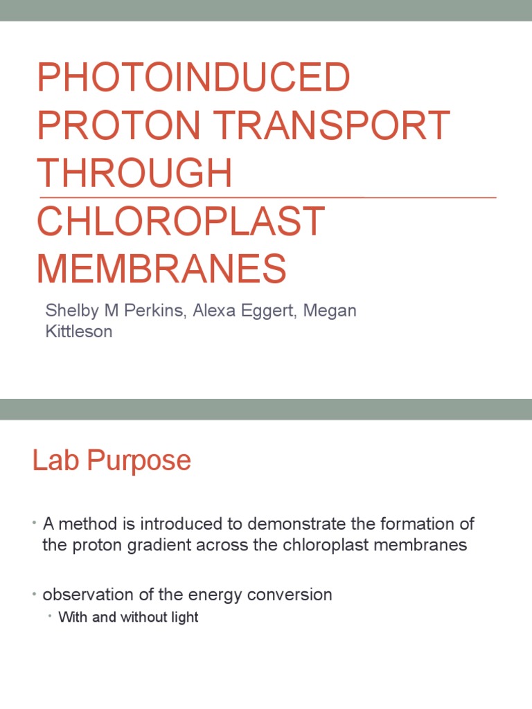 Proton Transport in Chloroplasts Experiment | PDF | Wellness | Science ...