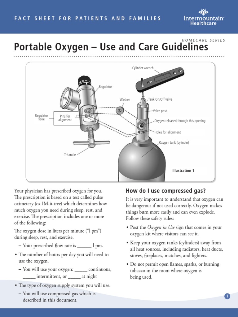 Portable Oxygen - Use and Care Guidelines | PDF | Valve | Gases