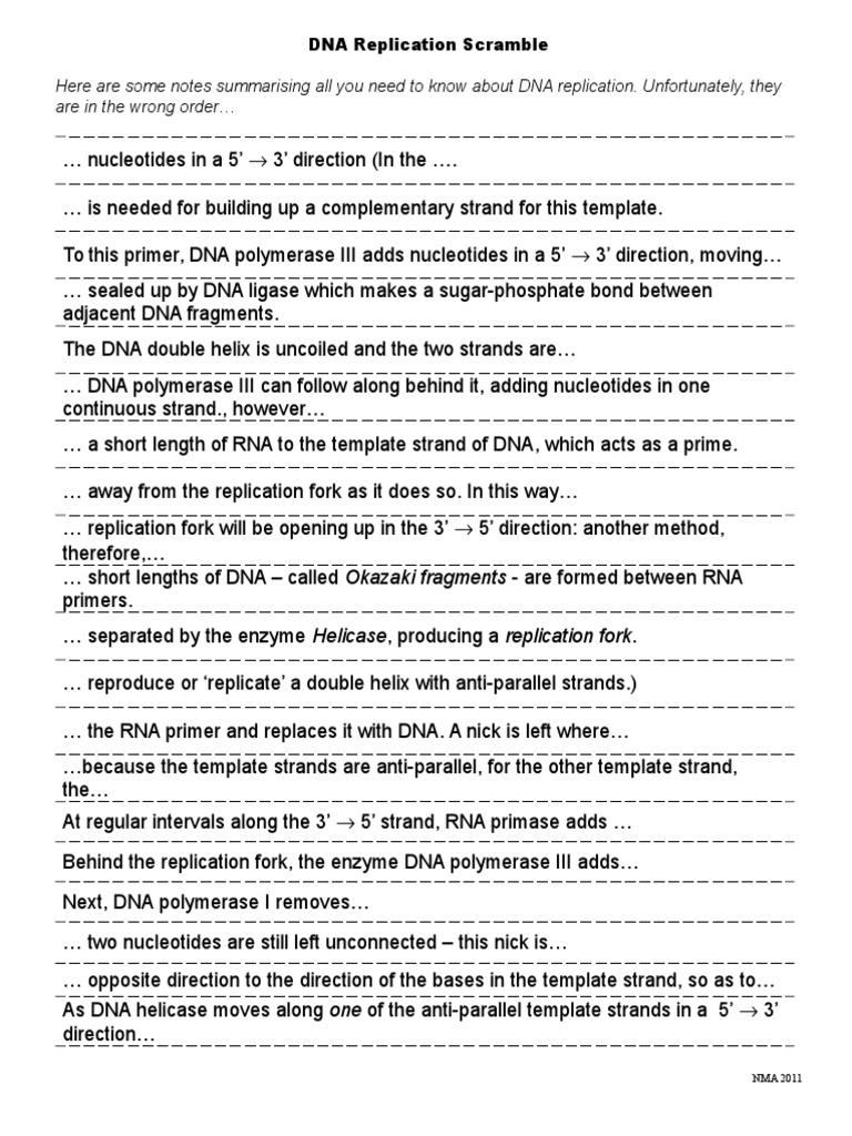 9 Dna Replication Scramble Key | PDF | Dna Replication | Primer ...