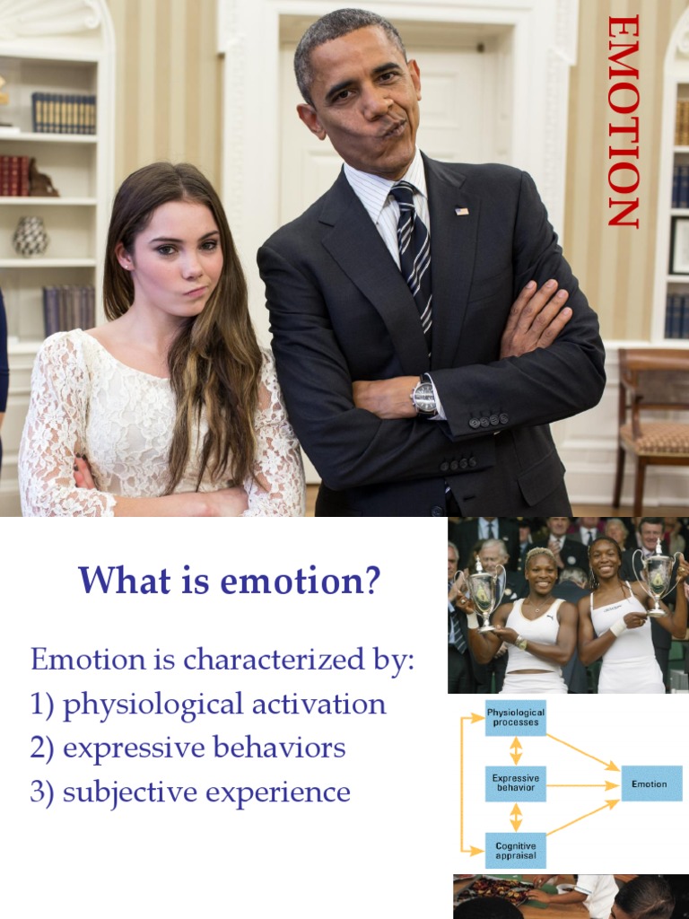 Emotion | PDF | Facial Expression | Sexual Arousal