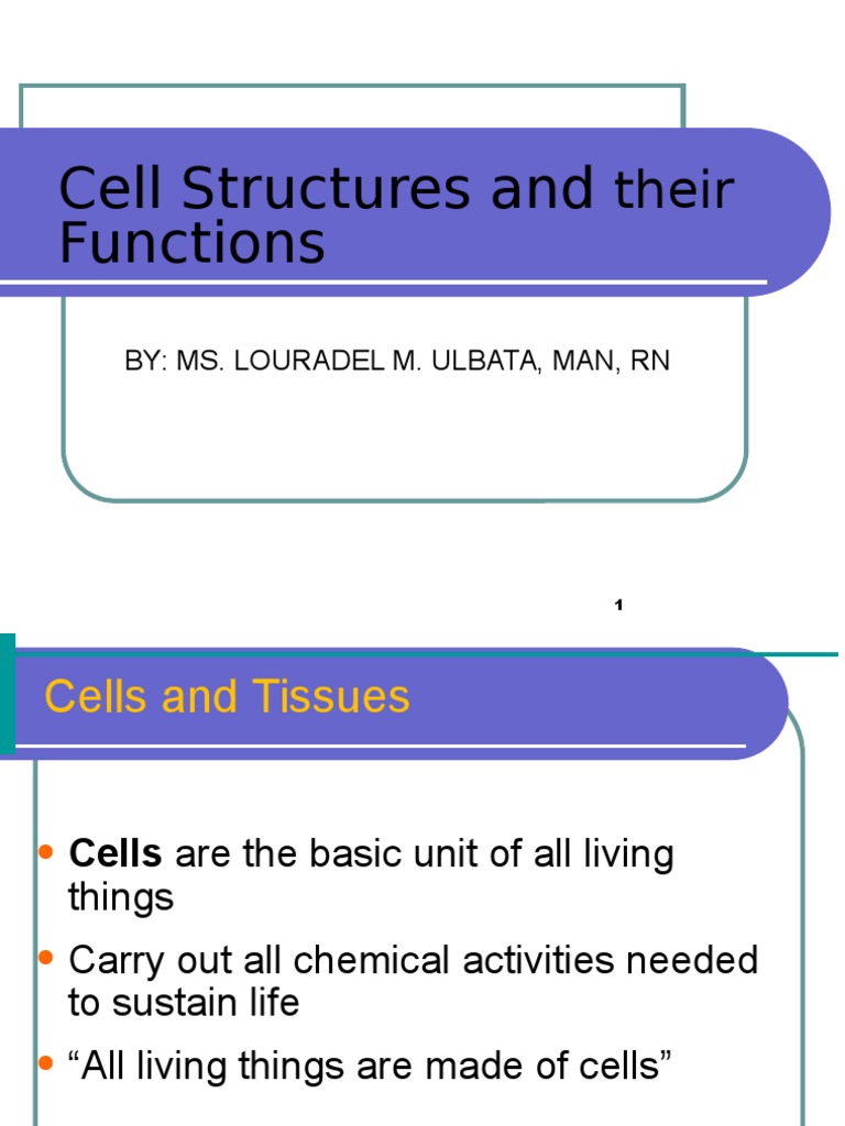 Cell Structures and Functions Explained | PDF | Epithelium | Mitosis
