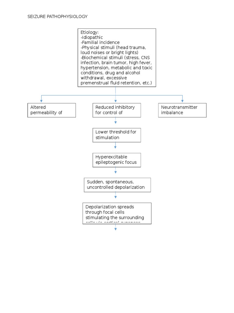 Seizure Pathophysiology | PDF
