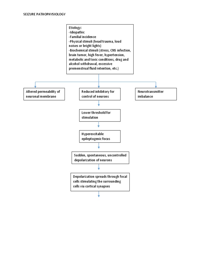 Seizure Pathophysiology