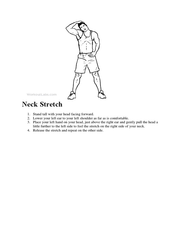 Workout | PDF | Arm | Elbow
