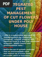 Flometoquin | PDF | Pesticide | Insecticide