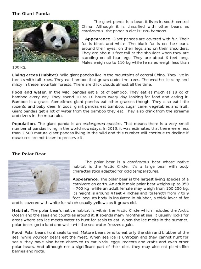 Panda and Polar Bear | Giant Panda | Nature
