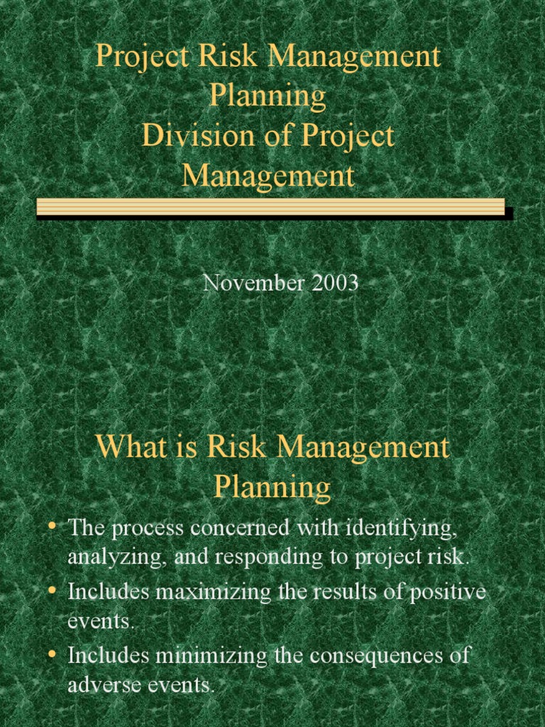 Risk Management Presentation | PDF | Risk Management | Risk