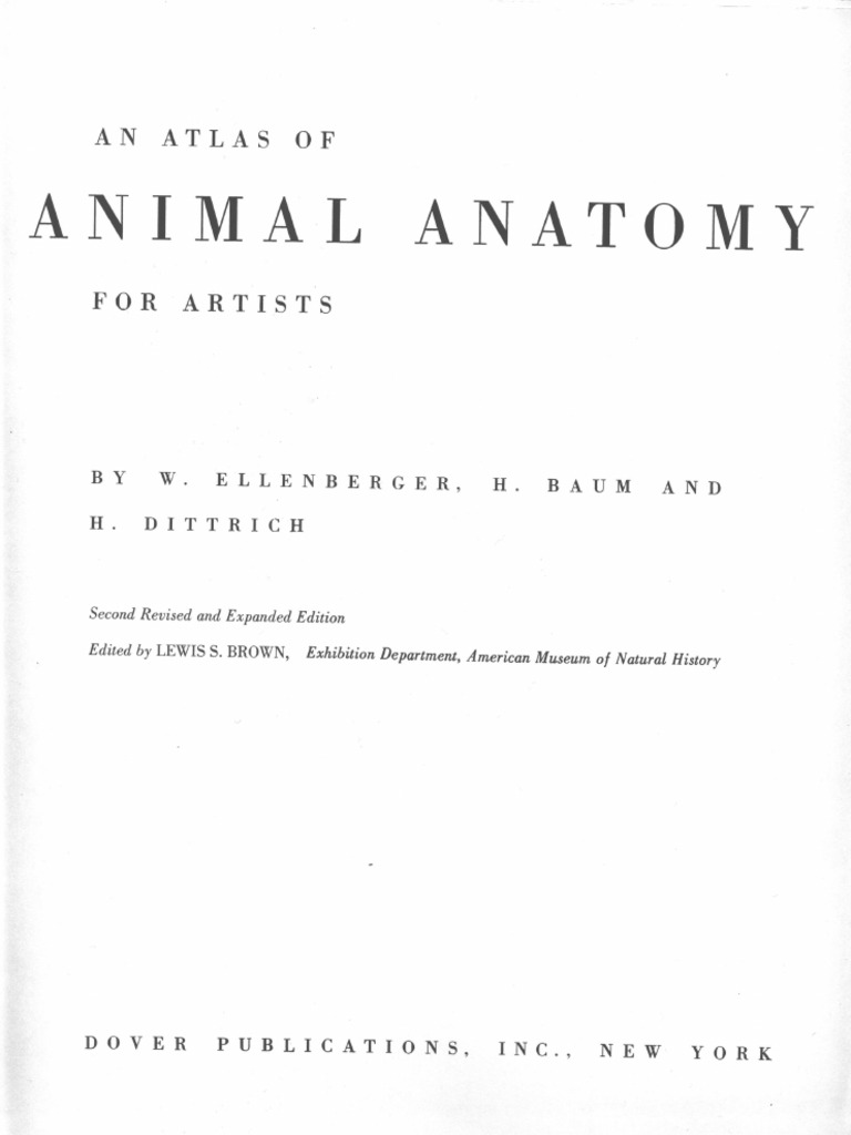Atlas Animal Anatomy For Artists Pdf Nature