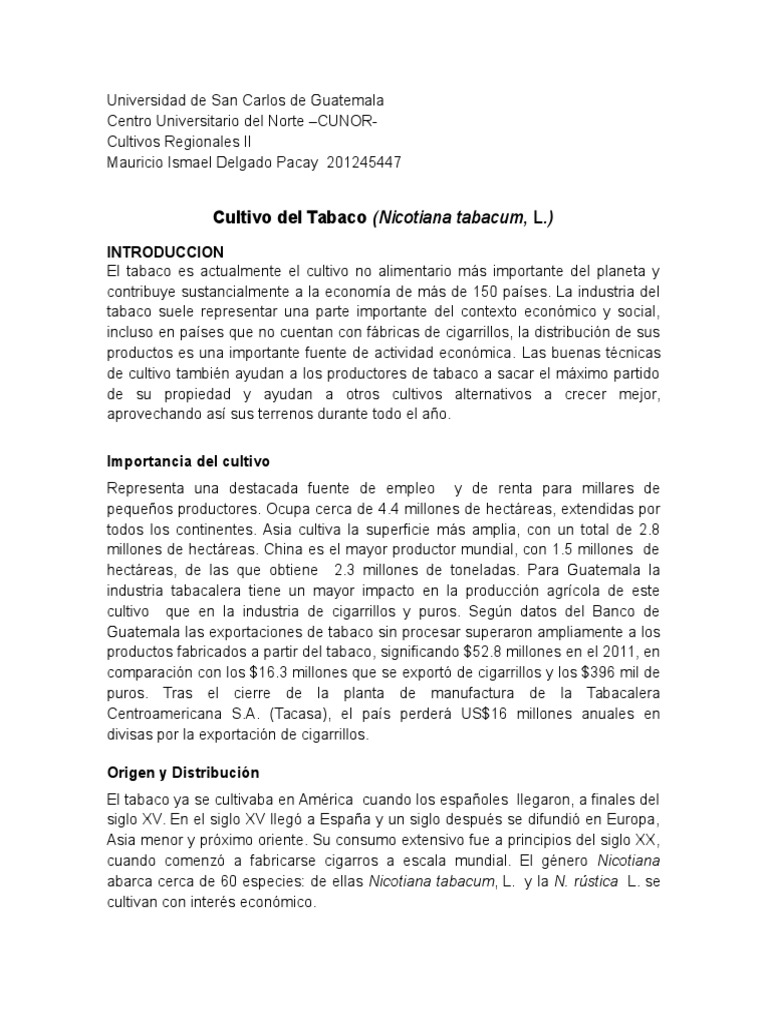 CUltivo Del Tabaco, Guatemala | PDF | Tabaco | Cigarrillo