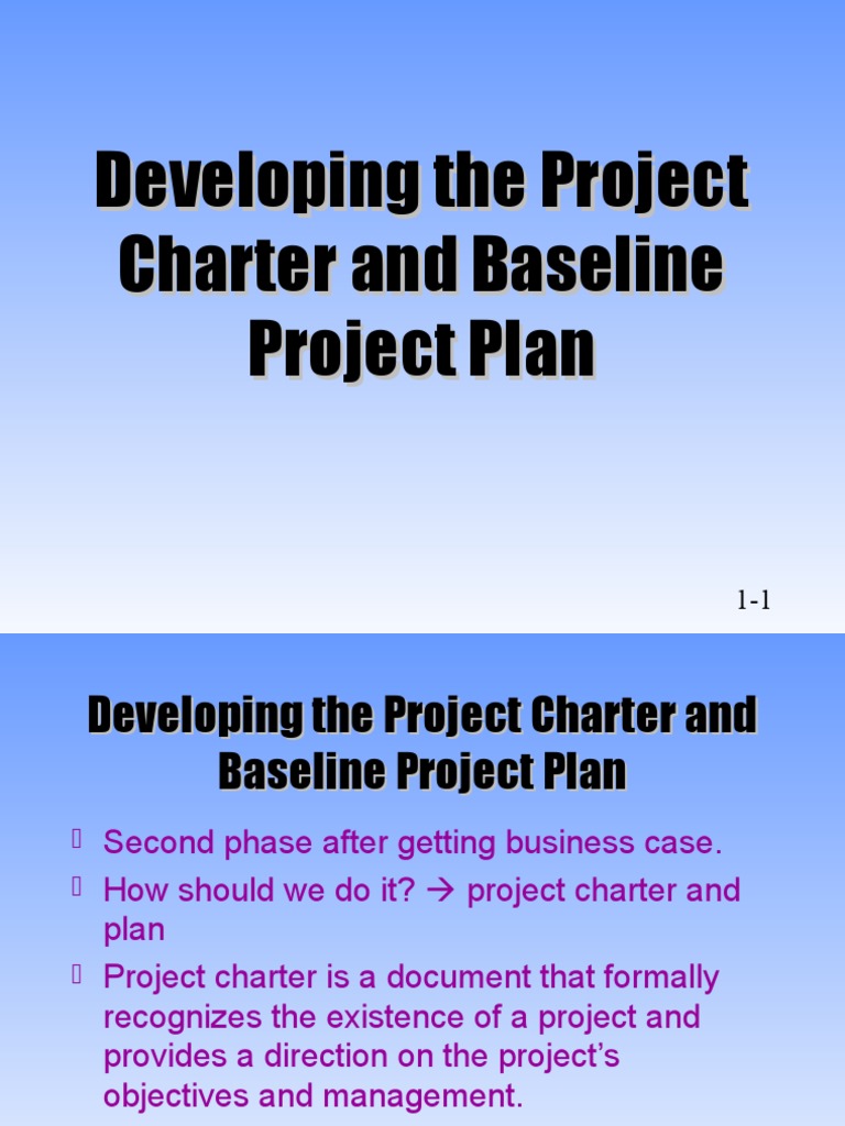 Developing The Project Charter and Baseline Project Plan | PDF ...